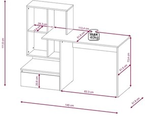Psací stůl s policí MARLO dub artisan/bílá
