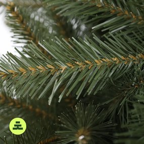 Smrk Kavkazský 150 cm