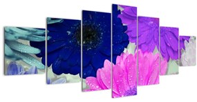 Obraz barevných květin (210x100 cm)