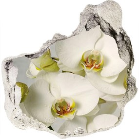 Wallmuralia Samolepící díra nálepka Bílá orchidej 75x75 cm