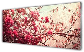 Plexisklo-obraz Větve Listy Příroda 125x50 cm