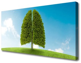Obraz na plátně Tráva Strom Plíce Příroda 100x50 cm