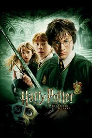 Umělecký tisk Harry Potter - Tajemná komnata, (26.7 x 40 cm)