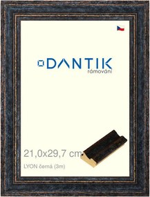 DANTIK rámeček 21x29,7 | LYON černá (Sklo Čiré)