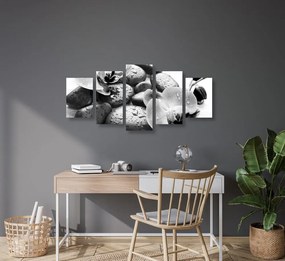 5-dílný obraz krásná souhra kamenů a orchideje v černobílém provedení - 100x50 cm