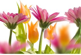 Vliesová fototapeta Jarní květiny 375 x 250 cm + lepidlo zdarma / MS-5-0142 vliesové fototapety na zeď DIMEX