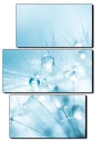 Obraz na plátně - Dandelion z kapkami rosy- obdélník 7262C (90x60 cm)