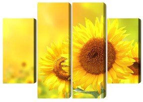 Vícedílný obraz Kvetoucí Slunečnice 3D Nedostatek Nedostatek Plátno Canvas 160x120