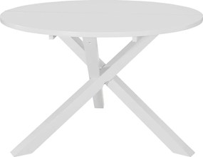 vidaXL Jídelní stůl 120 x 75 cm MDF [247631] Barva: Bílá