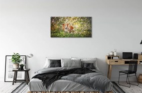Obrazy na plátně Psí lesní květiny 125x50 cm