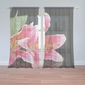 Sablio Záclony Lilie: 2ks 150x250cm