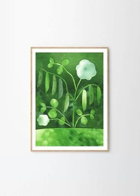 Plakát 50x70 cm Peas in Bloom – Anna Ravn Bjørn – The Poster Club