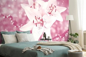 Samolepící fototapeta lilie v růžovém kabátu - 300x200 cm
