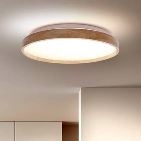 Brilagi - LED Stmívatelné stropní svítidlo ALSON LED/48W/230V 3000-6500K + DO