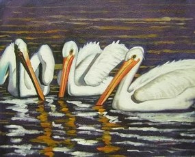Tři pelikáni - 50 x 60 cm
