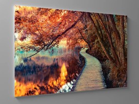 Liox Obraz procházka lesem Rozměr: 120 x 80 cm
