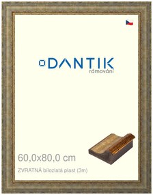 DANTIK rámeček 60x80 | ZVRATNÁ bílozlatá plast (Plexi Čiré)