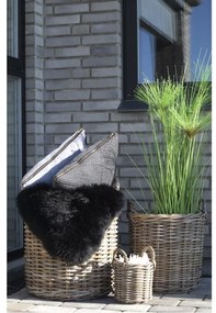 Sada dekorativních košíků Lainey