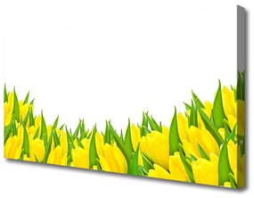 Obraz na plátně Květiny Příroda Tulipány 125x50 cm