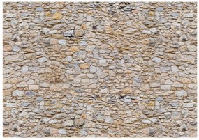 Kamenná stěna (150x105 cm) - Murando DeLuxe