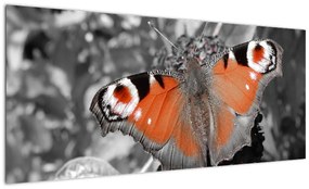 Oranžový motýl - obraz (100x40cm)