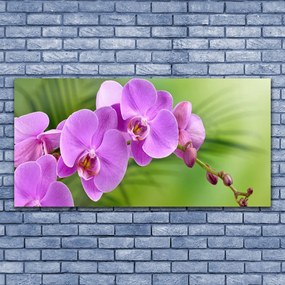 Plexisklo-obraz Vstavač Orchidej Květiny 120x60 cm