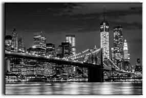 Obraz Brooklyn Bridge Velikost (šířka x výška): 30x20 cm