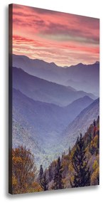 Wallmuralia Vertikální Foto obraz na plátně Mlha nad horama 50x100