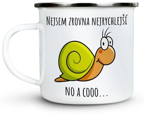 Ahome Plecháček Nejsem nejrychlejší 300 ml