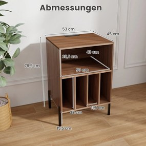 Costway Stolek na gramofon s nabíjením a přihrádkami, hnědý