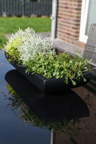 Miska na květiny ZOEY, sklolaminát, šířka 64 cm, antracit