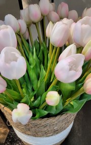 Kytice 7ks světle růžových realistických tulipánů Tulips - 45cm