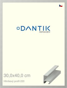 DANTIK rámeček 30x40 | ALU profil 6220 Stříbrná matná (Plexi Čiré)