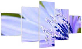 Obraz - květ (125x70 cm)