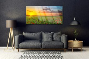 akrylový obraz Slunce Louka Květiny Příroda 120x60 cm