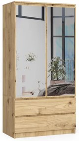 Šatní skříň se zrcadlem S90 2D2SZ - dub artisan