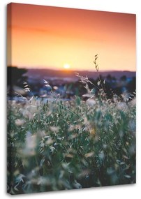 Obraz na plátně Západ slunce na louce - 70x100 cm