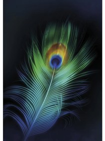 Obraz na plátně Peacock Eye