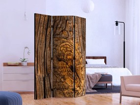 Pokojová zástěna Staré dřevo (3-dílná sada) - Hnědá kompozice s dřevěnou texturou