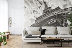 Fototapeta Paříž Eiffelova Věž Strukturální vinyl 90x60