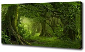 Wallmuralia Foto obraz na plátně Tropická džungle 100x50