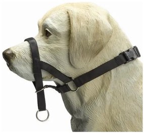 Beeztees Dog Control - Halsband Hond - Zwart - M