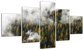 Obraz lesa v mracích (125x70 cm)