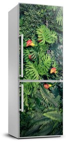 Wallmuralia Nálepka fototapeta na ledničku Tropické rostliny 60x180 cm