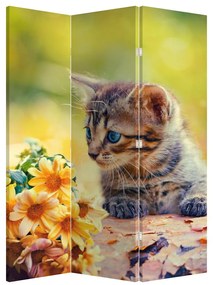 Paraván - Koťátko dívající se na květinu (126x170 cm)