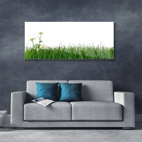 akrylový obraz Plevel Příroda Rostlina 125x50 cm