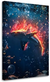 Gario Obraz na plátně Hořící žralok - Alex Griffith Rozměry: 40 x 60 cm