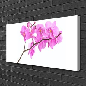 Obraz na plátně Květiny Rostlina Příroda 100x50 cm