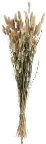Sušená dekorativní květina Bundle Plume - 16*16*84 cm