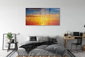 akrylový obraz Ptáci na lanech západu slunce 140x70 cm